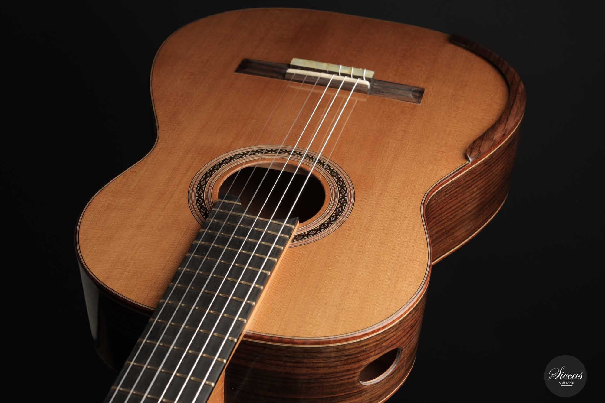 Patrick Mailloux - 2022 Doubletop "Klarisa" – Siccas Guitars