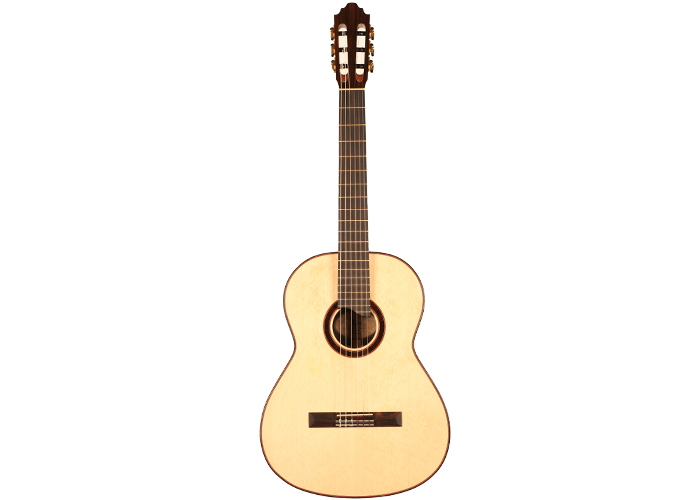 David Ryer - Doubletop 2018 – Siccas Guitars