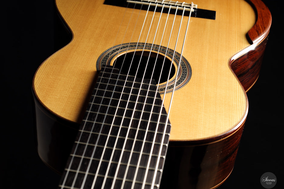 Why Musicians Trust Siccas Guitars