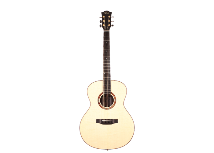 Duke - GA - PF Solid – Siccas Guitars